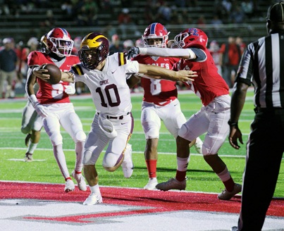 Meet The Wolverines Is Friday – Dade County Sentinel