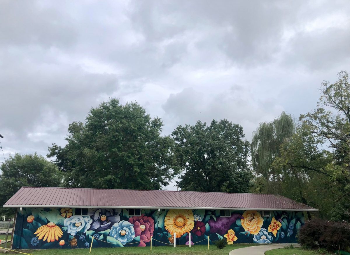 Jenkins Park Mural Completed – Dade County Sentinel