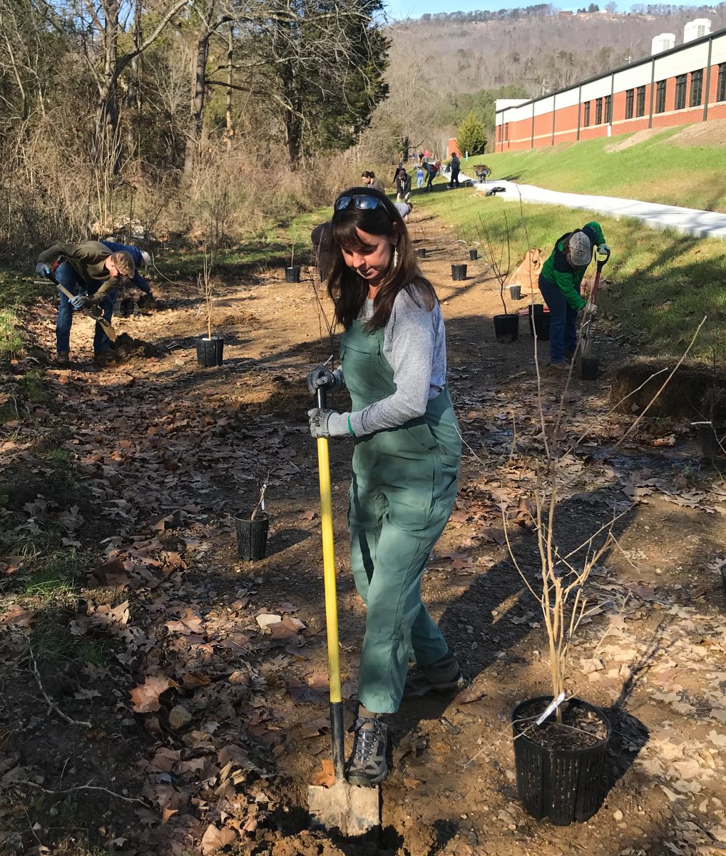 Town Creek Trail Educational Work Day – Dade County Sentinel
