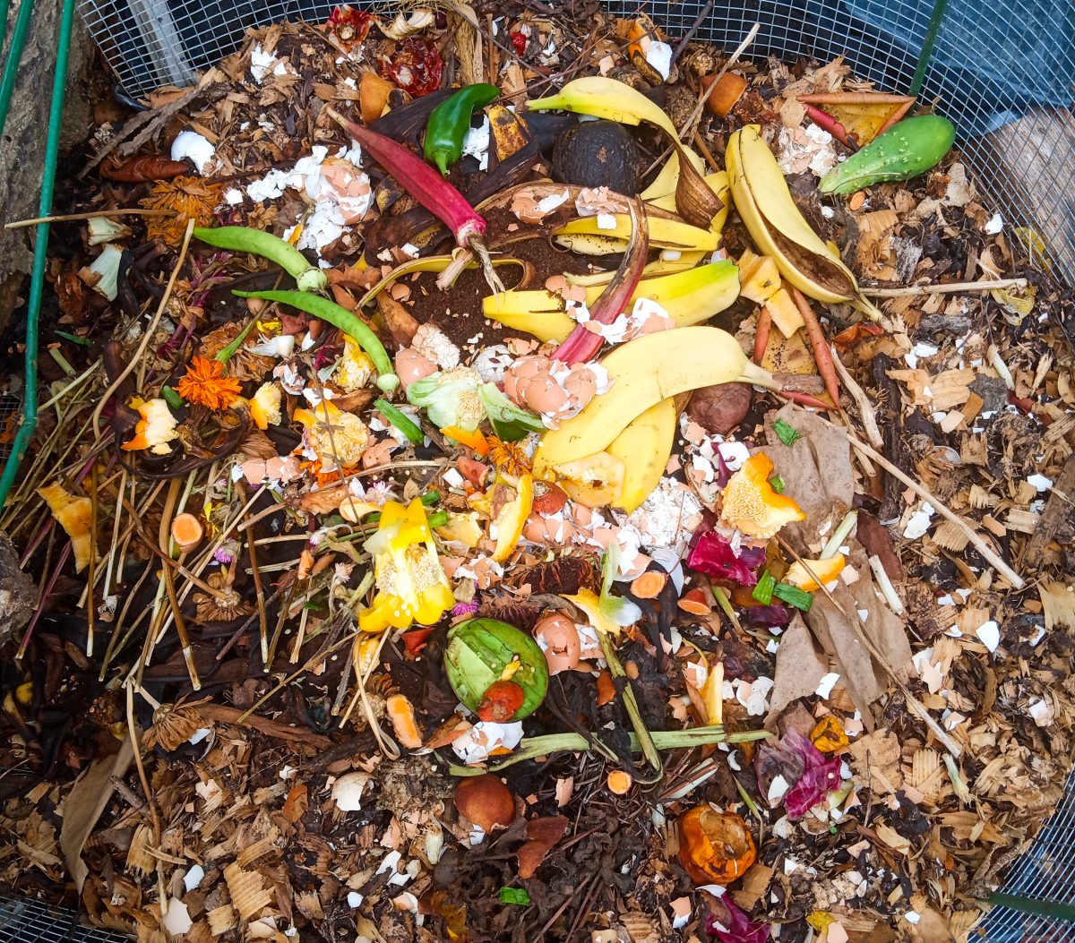 Reduce, Reuse, Recycle, and Beyond: Part One – Dade County Sentinel