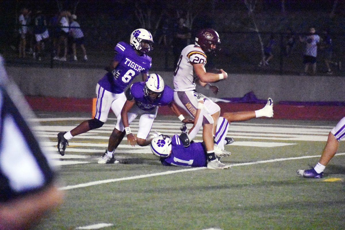 Wolverines Come Up Short In Hard Fought Battle With Darlington’s Tigers ...