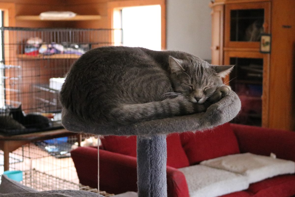 Mastering Love Rescue Enters 2025 With Financial Strain But Supportive ...