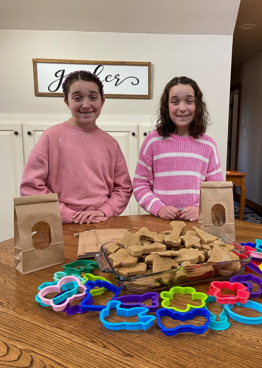 Twin Sisters Raise Money For Animal Rescue – Dade County Sentinel