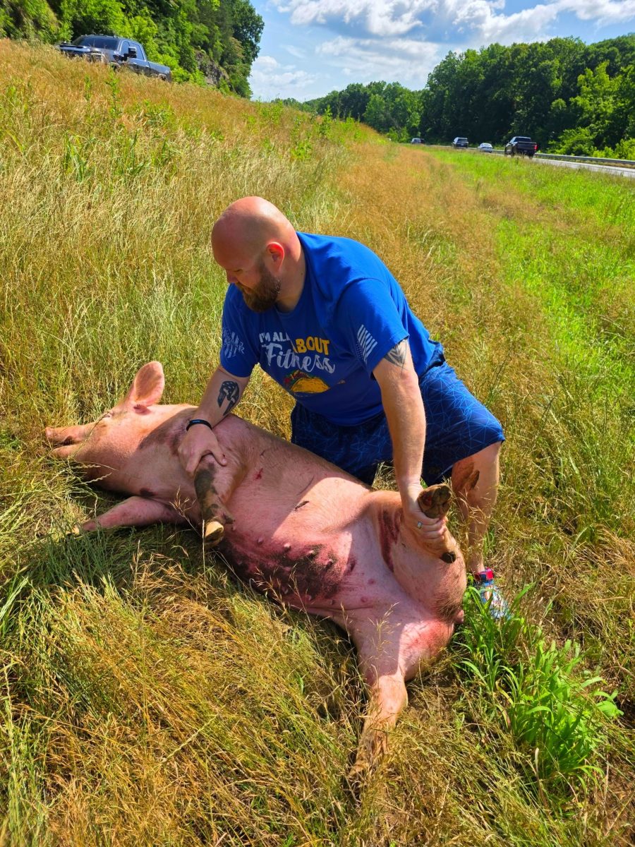 Sheriff’s Office Practices Pig Wrangling – Dade County Sentinel