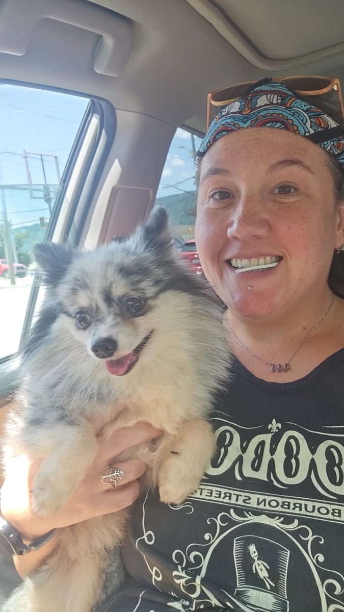 Update On Dogs Rescued From Trenton Puppy Mill – Dade County Sentinel